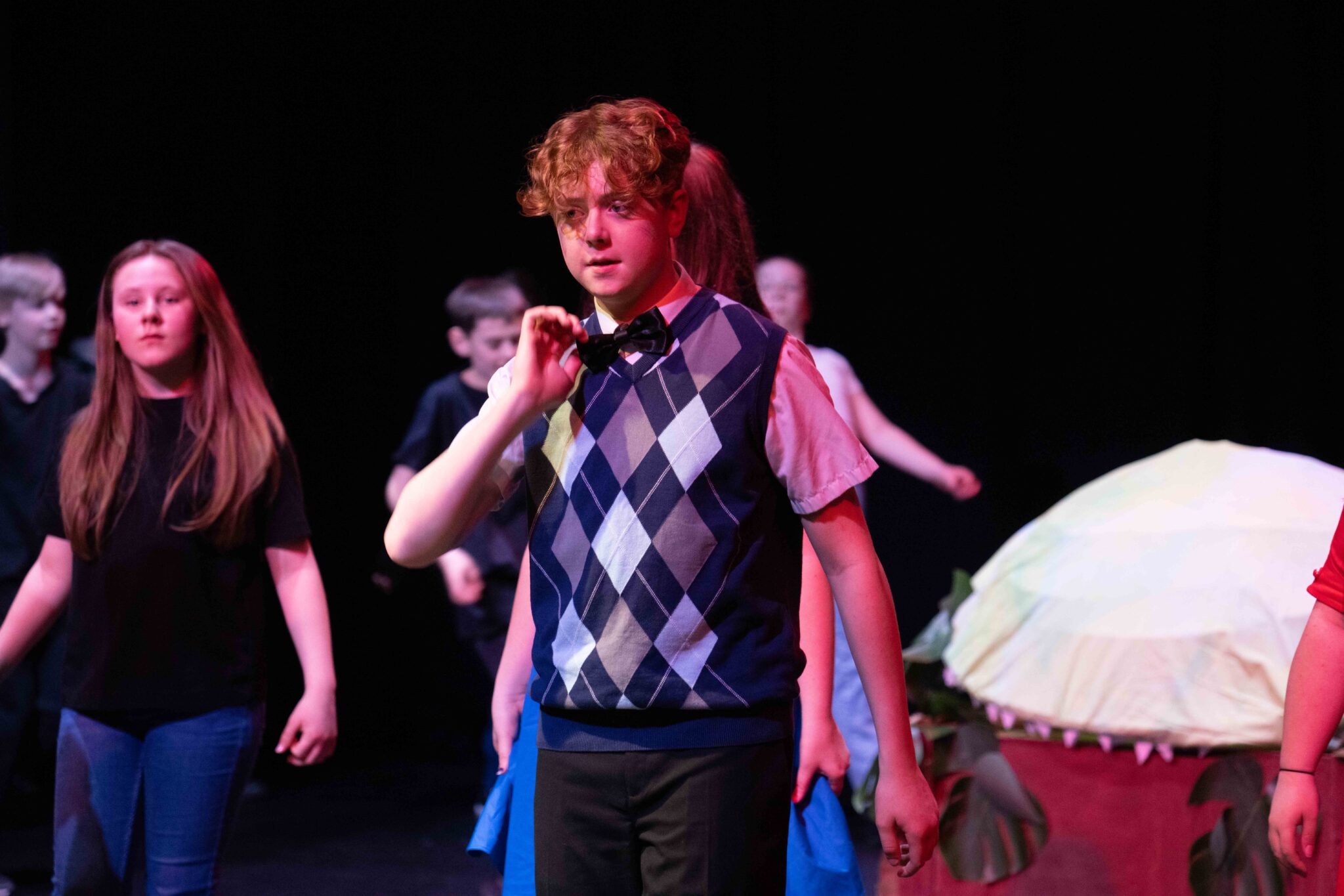 Taking to the Stage! - Wednesfield Academy